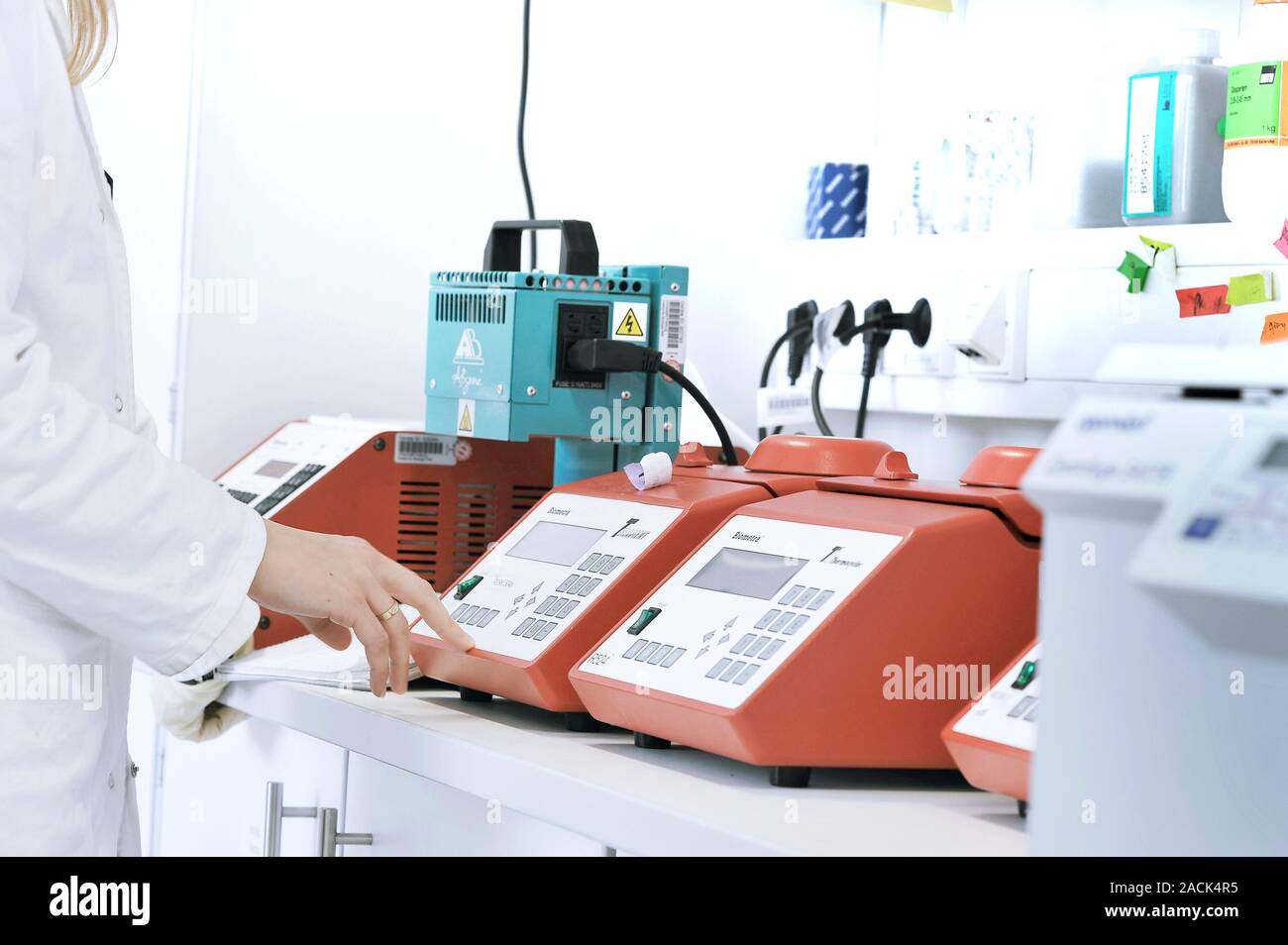 Botanical laboratory. Scientist in a plant lab Stock Photo - Alamy