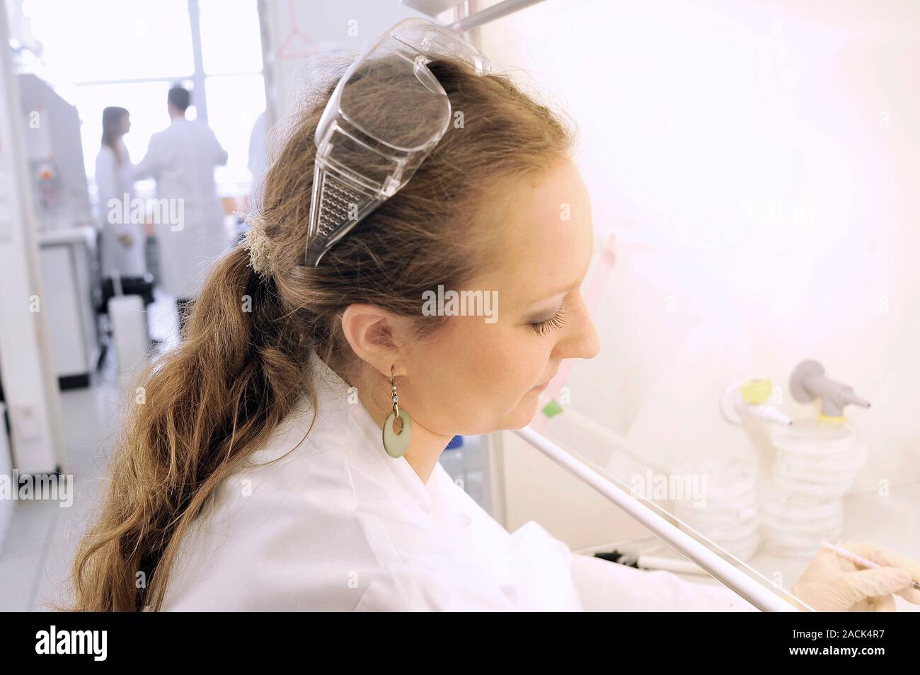 Botanical laboratory. Scientist in a plant lab Stock Photo - Alamy