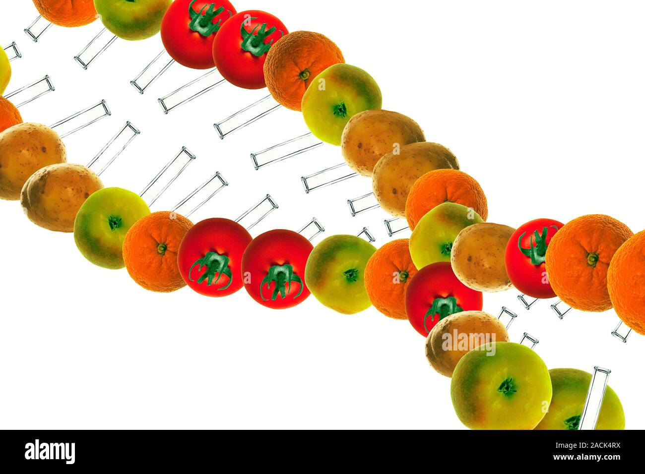 DNA molecule. Computer artwork showing a double stranded DNA ...