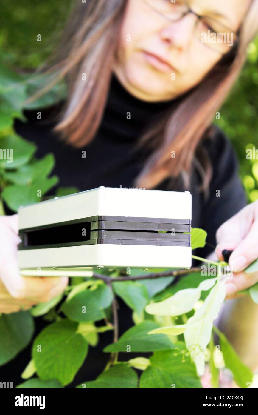 Botany. Botanist using a lamp to identify leaves and plant diseases ...