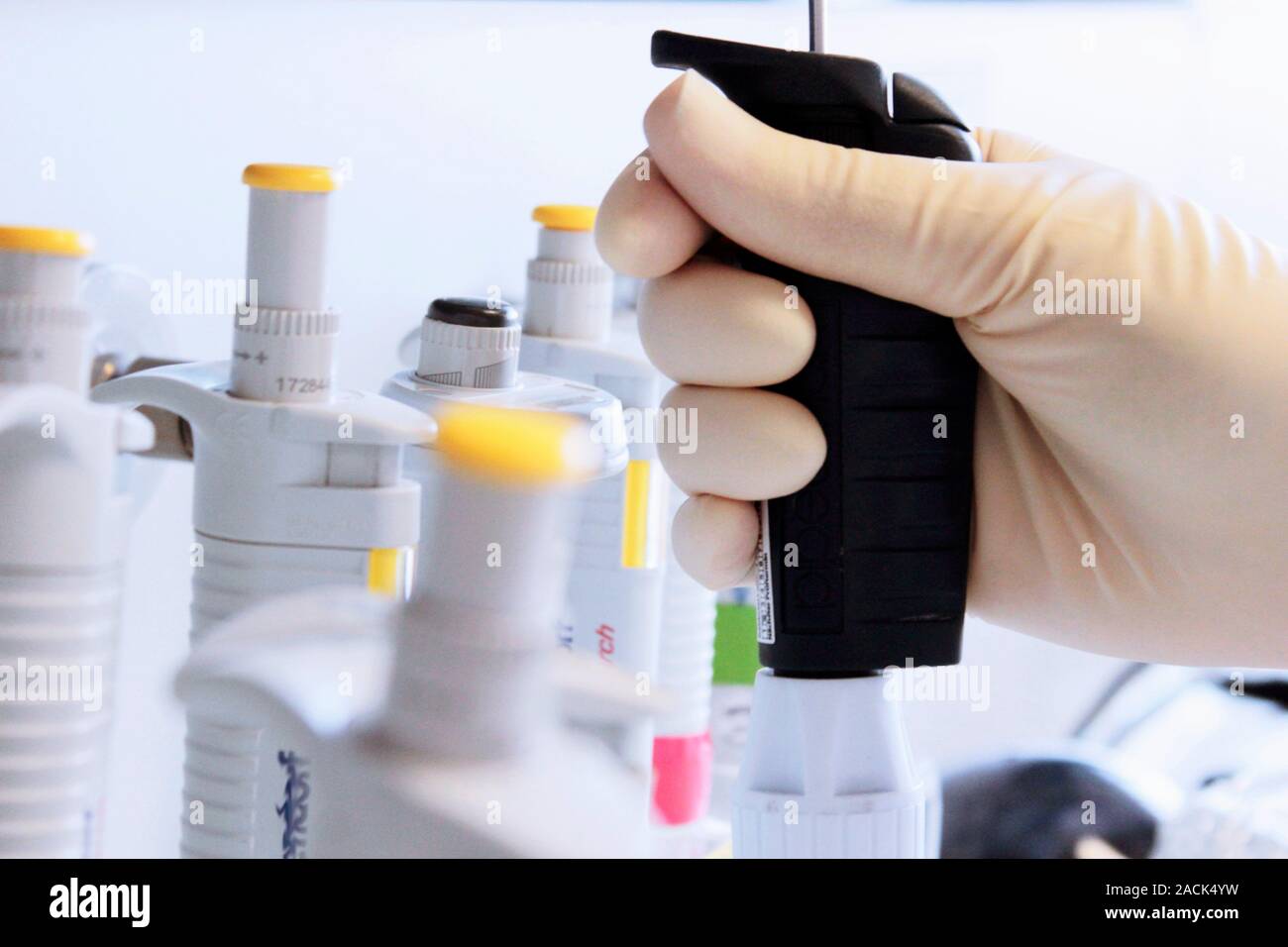Pharmacy laboratory. Pharmacist using a pipette in a lab Stock Photo ...