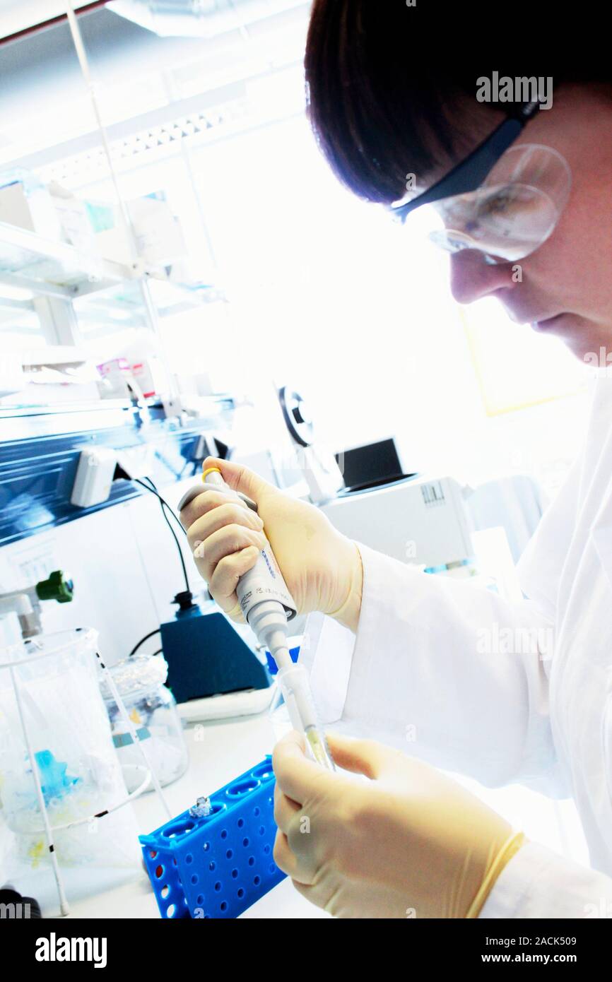 Pharmacy laboratory. Pharmacist using a pipette in a lab Stock Photo ...
