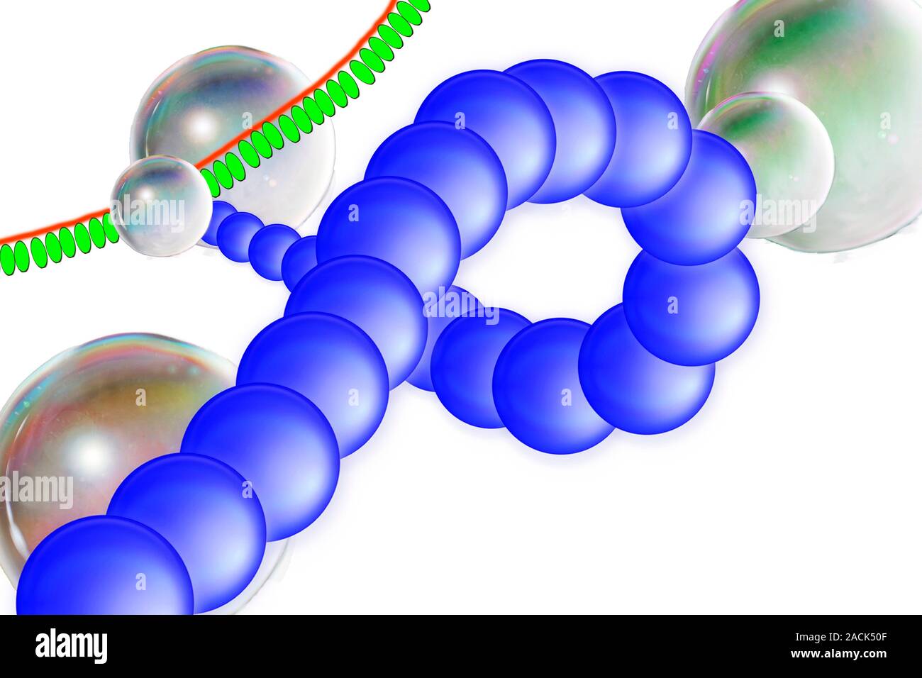 Protein synthesis. Computer artwork showing a ribosome (round, left ...