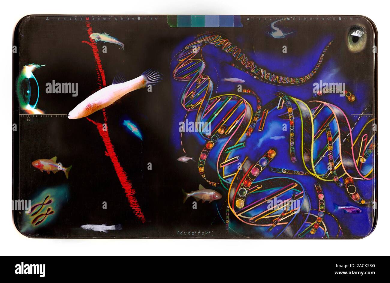 Genetics and evolution, conceptual image Stock Photo - Alamy