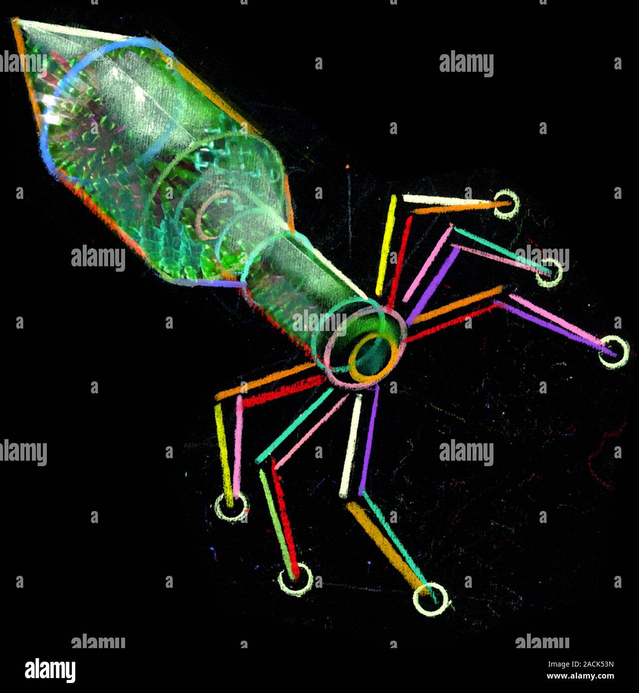 Bacteriophage, conceptual computer artwork. A bacteriophage, or phage ...