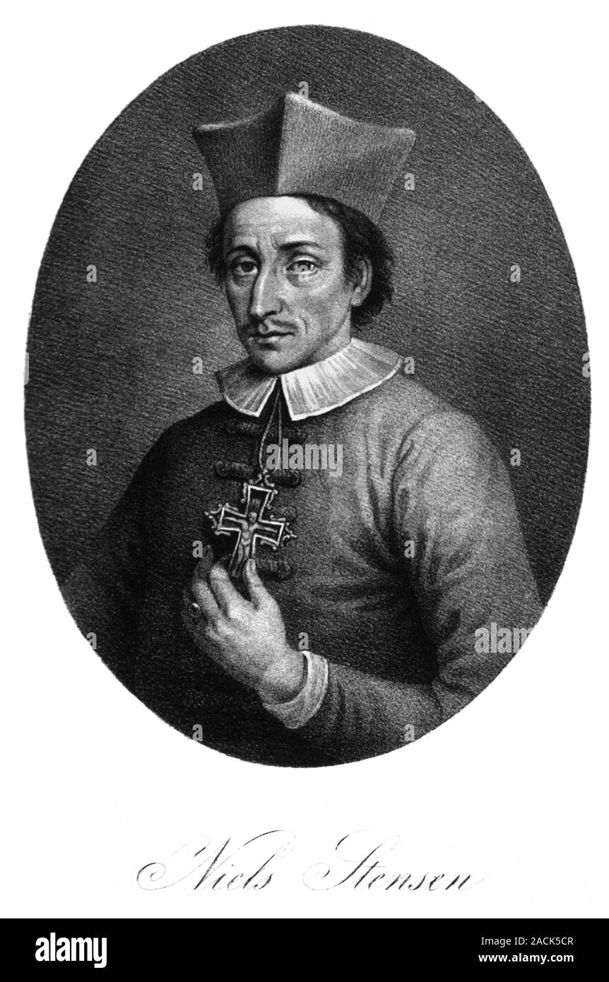 Nicolaus Steno (1638- 86), Danish anatomist and geologist. Steno (born ...