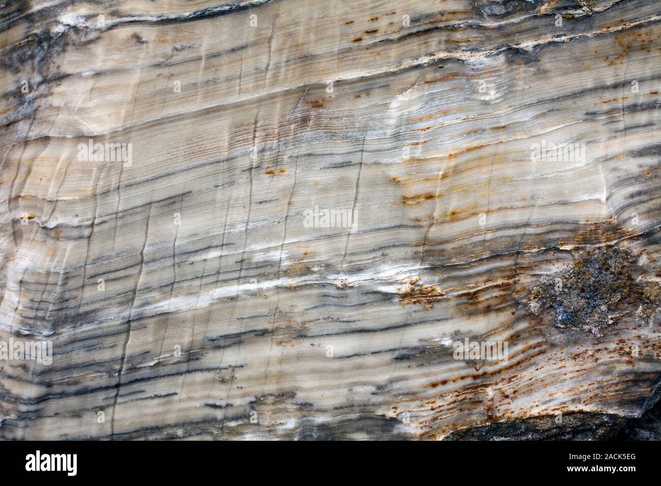 Thinly laminated deposit of gypsum in a rocky outcrop. Natural gypsum ...