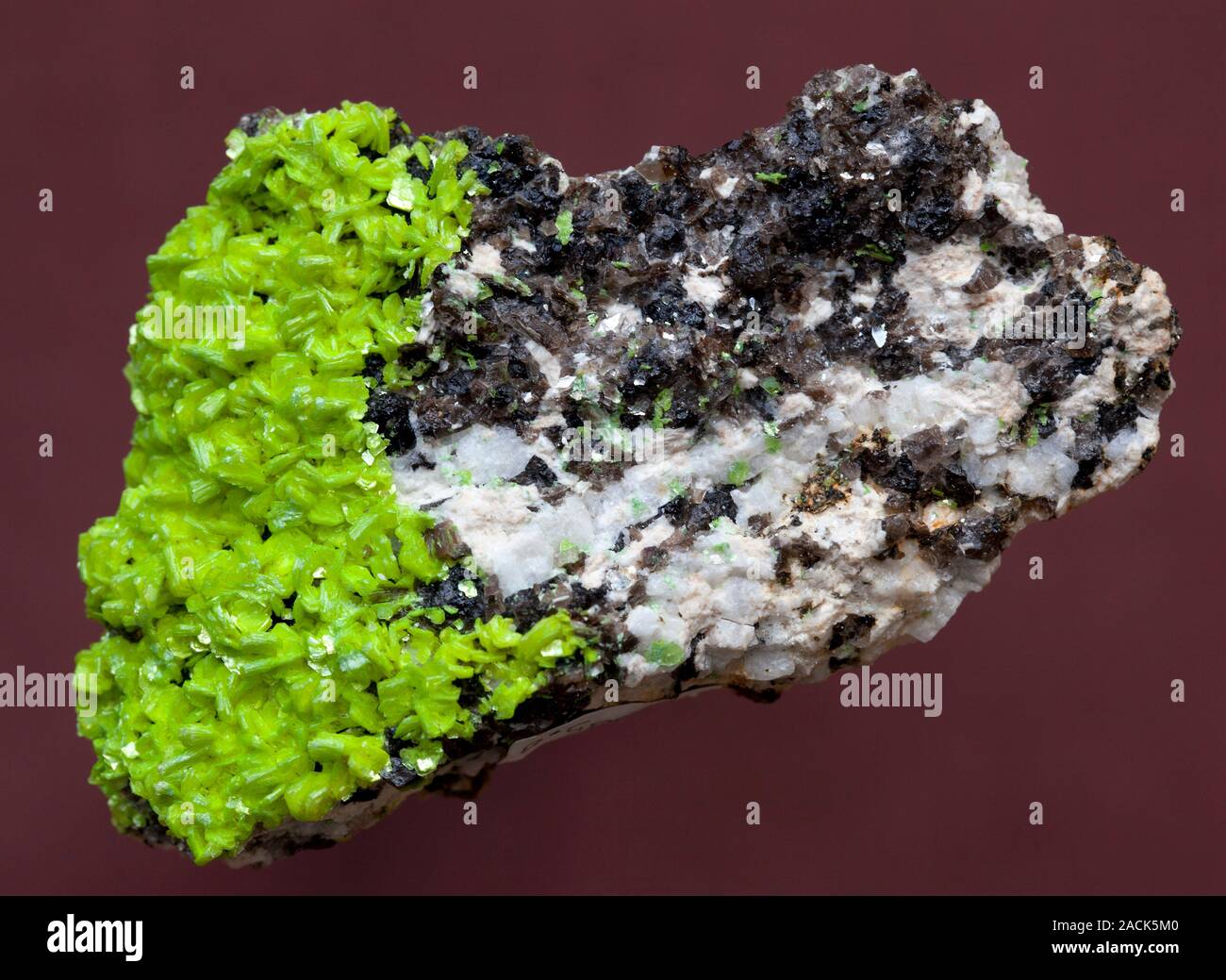 Autunite, a uranium bearing (radioactive) phosphate, a tetragonal ...