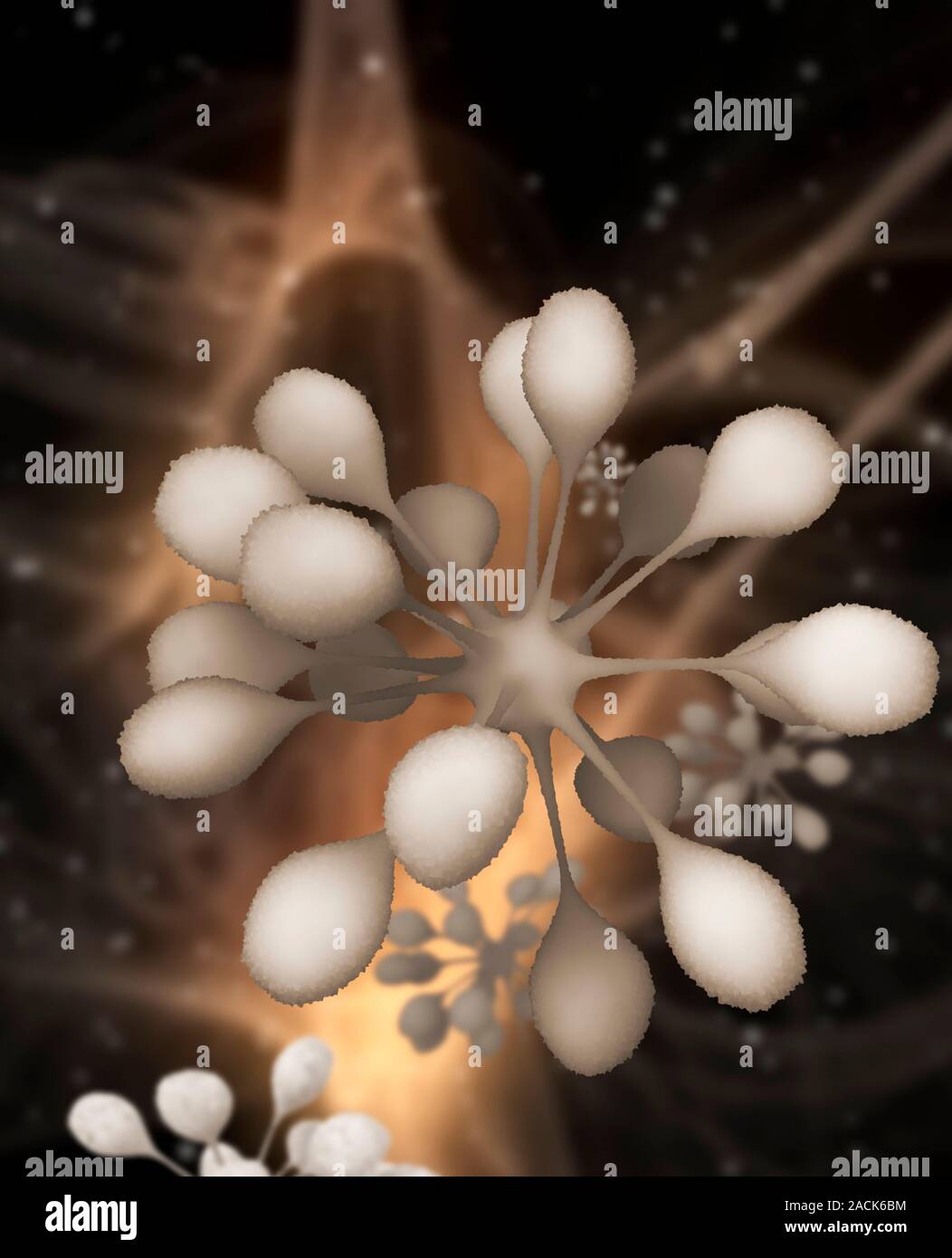 Unknown lifeform, conceptual image. Computer artwork representing an as ...