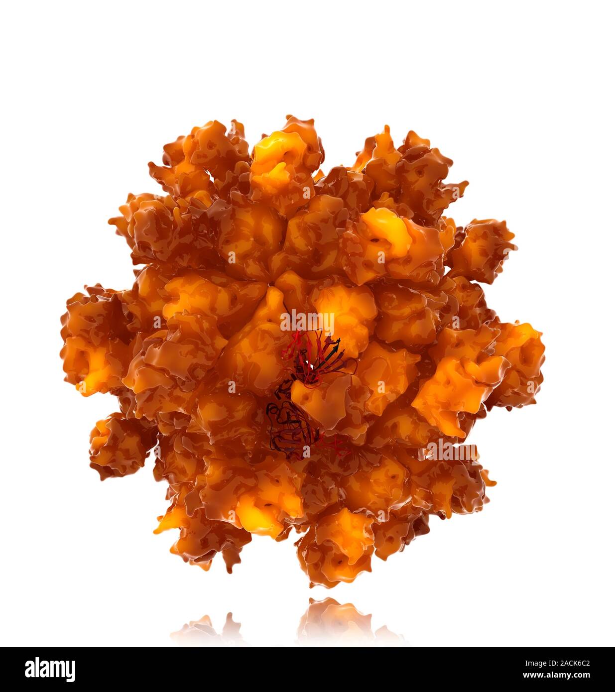 Hepatitis E virus particle, computer artwork. This virus is a non ...