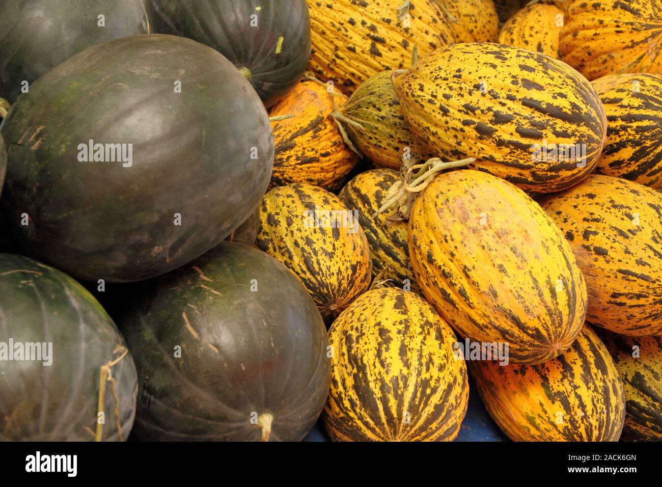 Mature melons hi-res stock photography and images - Alamy