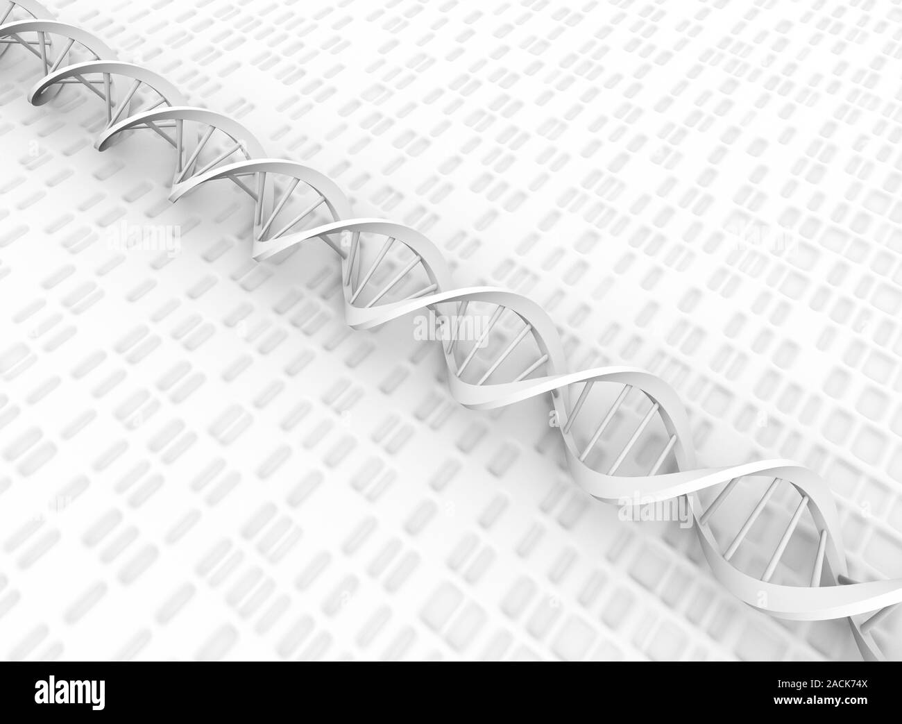 Conceptual computer illustration of the DNA double helix together with ...