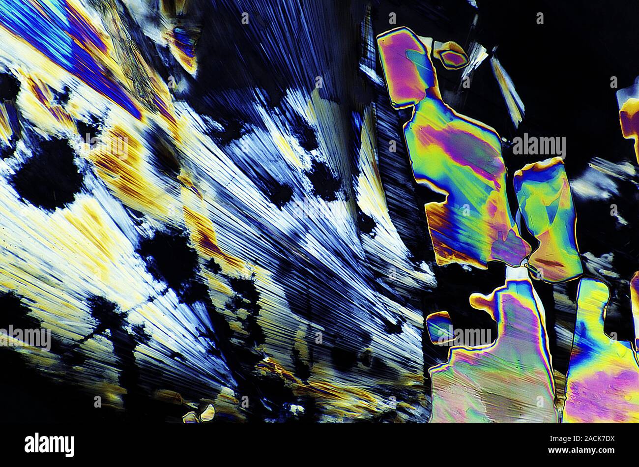 Saccharin crystals, polarised light micrograph. Saccharin is the ...