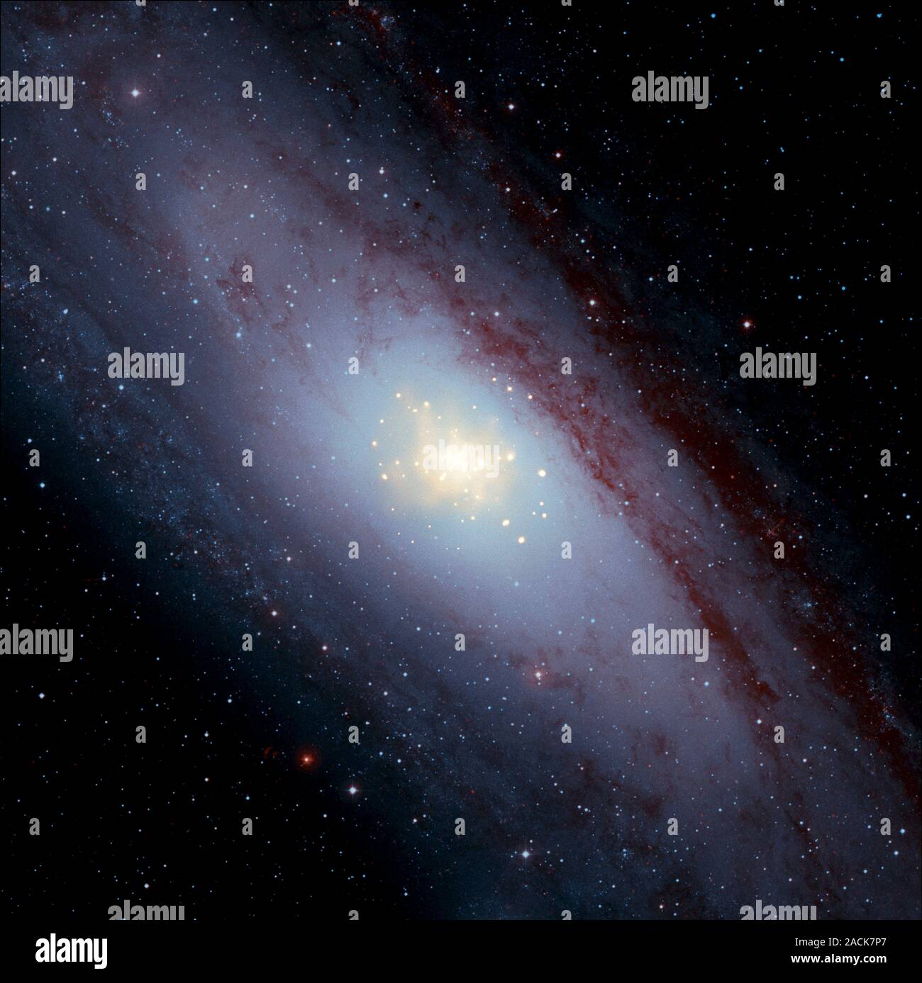 Andromeda Galaxy (M31), composite image. This image shows X-rays ...