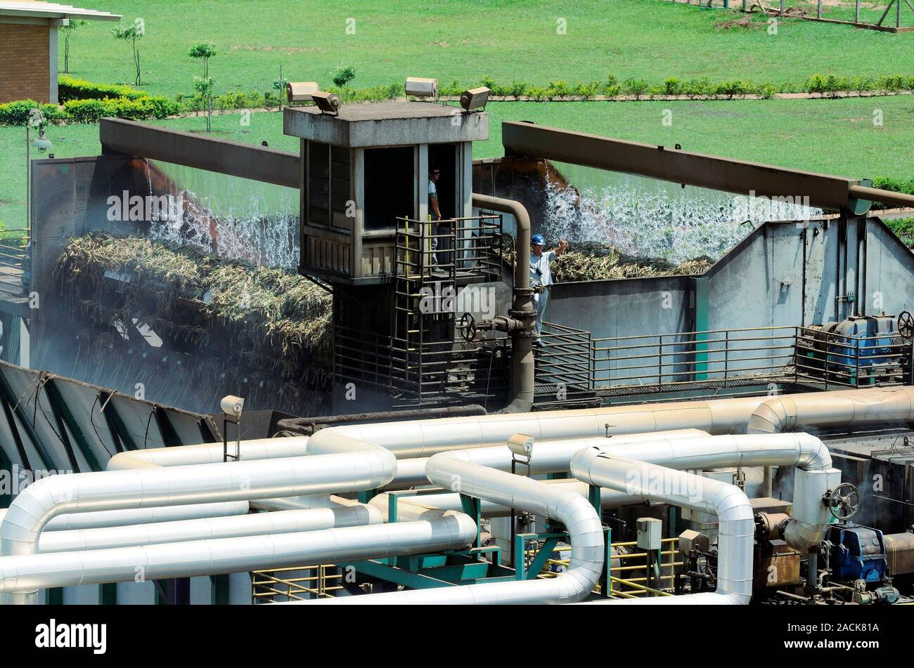 Biofuel production. Sugar cane being processed at a biofuel and sugar ...