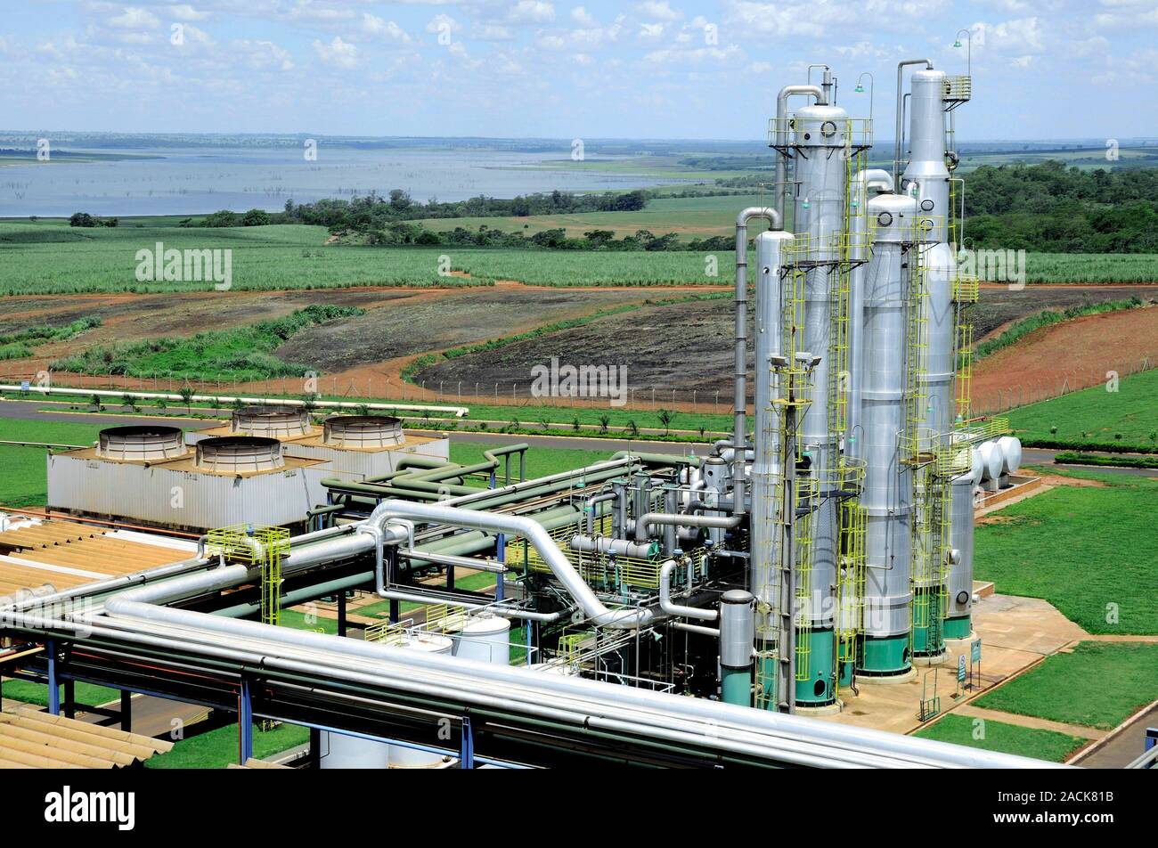 Biofuel production. View of a biofuel and sugar cane factory. This ...