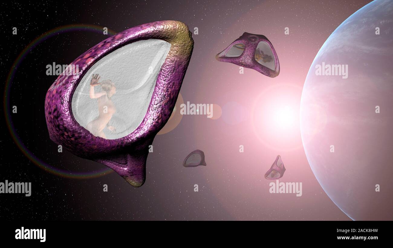 Space capsules, artwork Stock Photo - Alamy