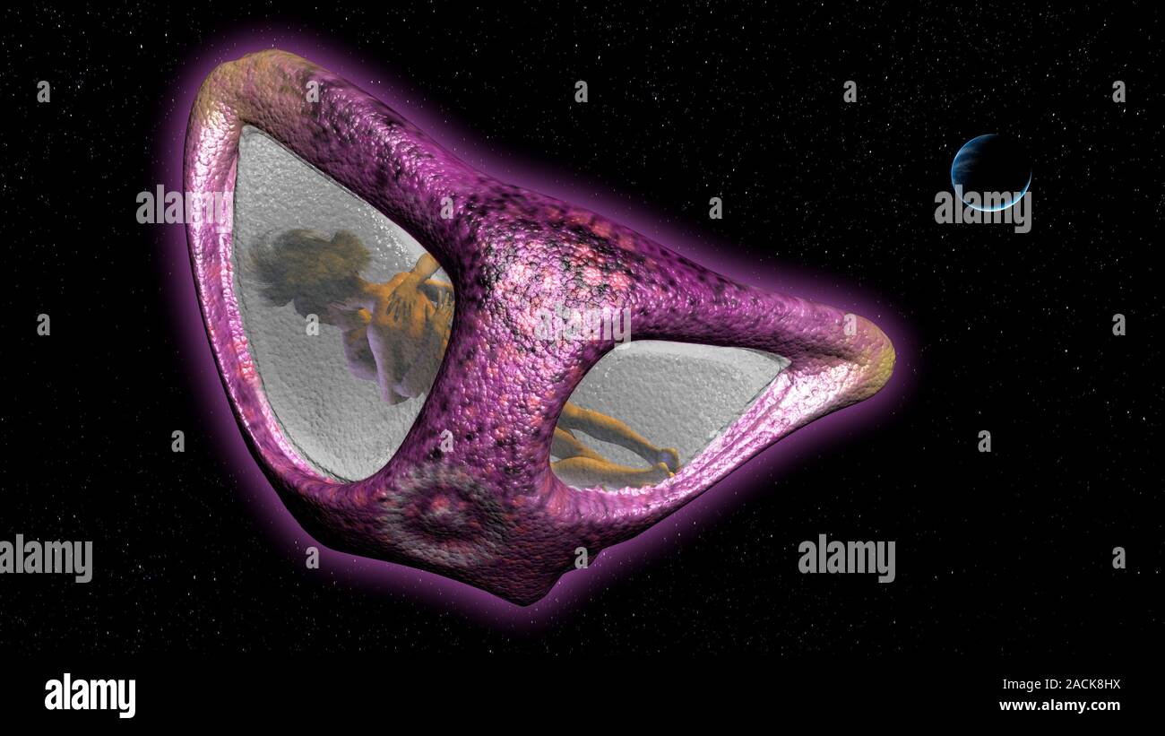 Space capsules, artwork Stock Photo - Alamy