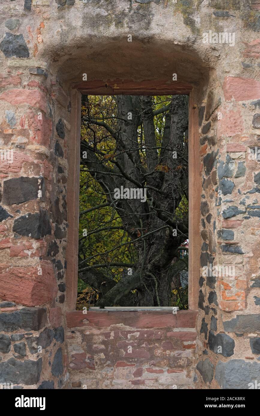 Castle ruined window hi-res stock photography and images - Alamy