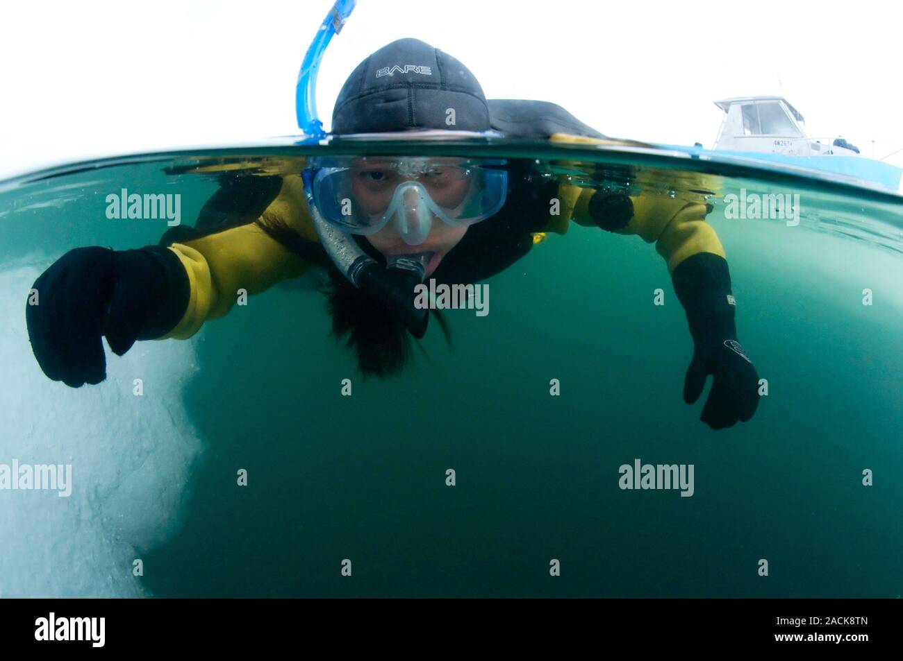 Ice diving and snorkelling in the Foxe Basin, Nunavut,Canada Stock ...