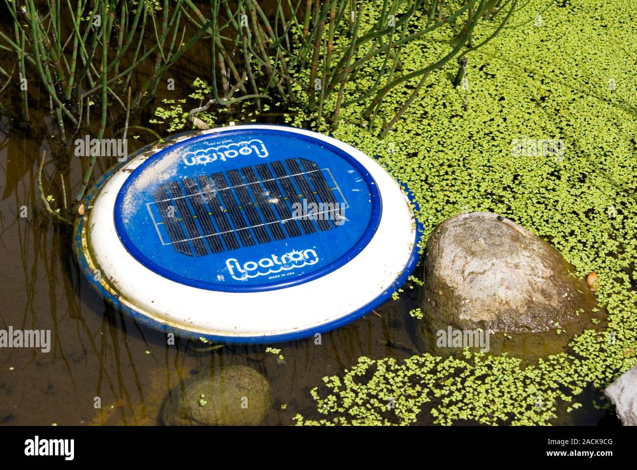 Floatron solar-powered ioniser in pond at National Botanic Garden of ...
