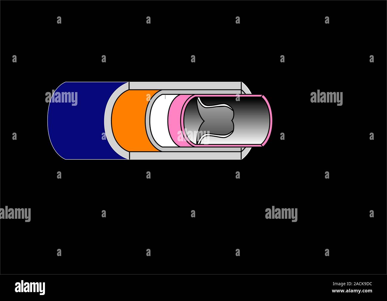 Blood vessel structure. Artwork showing the layers of tissue in the ...
