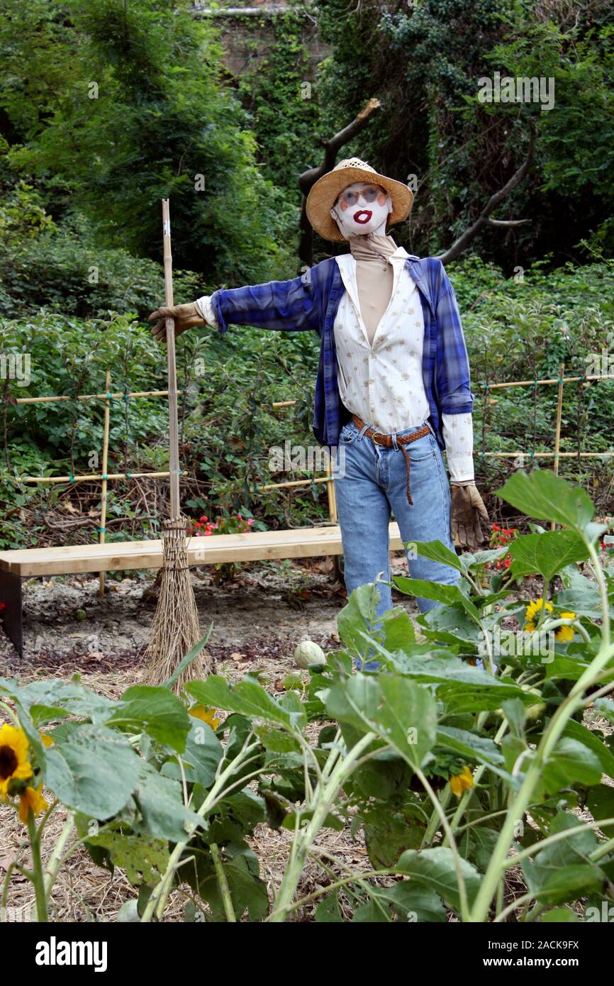 Scarecrow in a garden, with flowers and planted crops. The scarecrow is ...