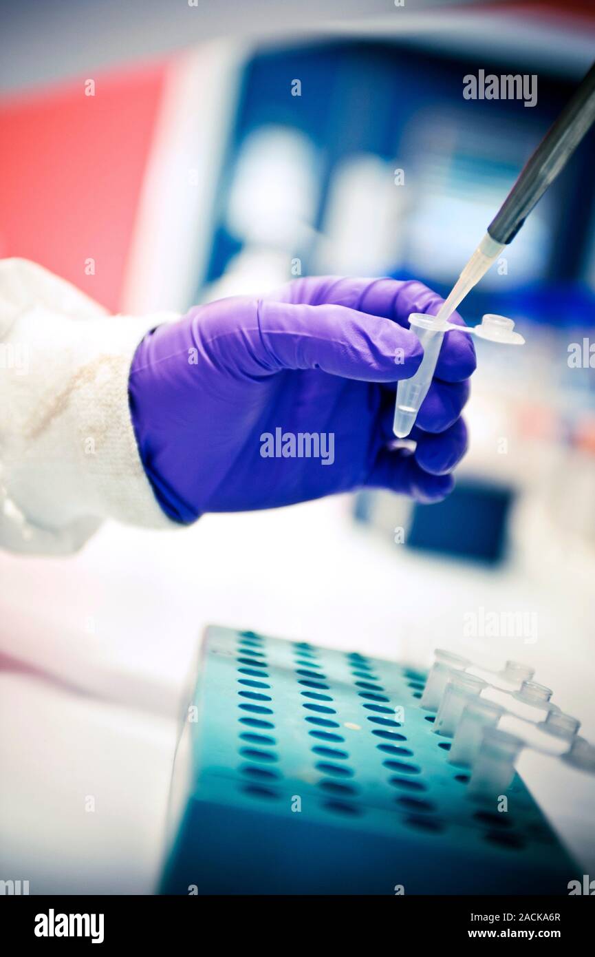 Technician using a pipette to transfer a liquid sample into a small ...