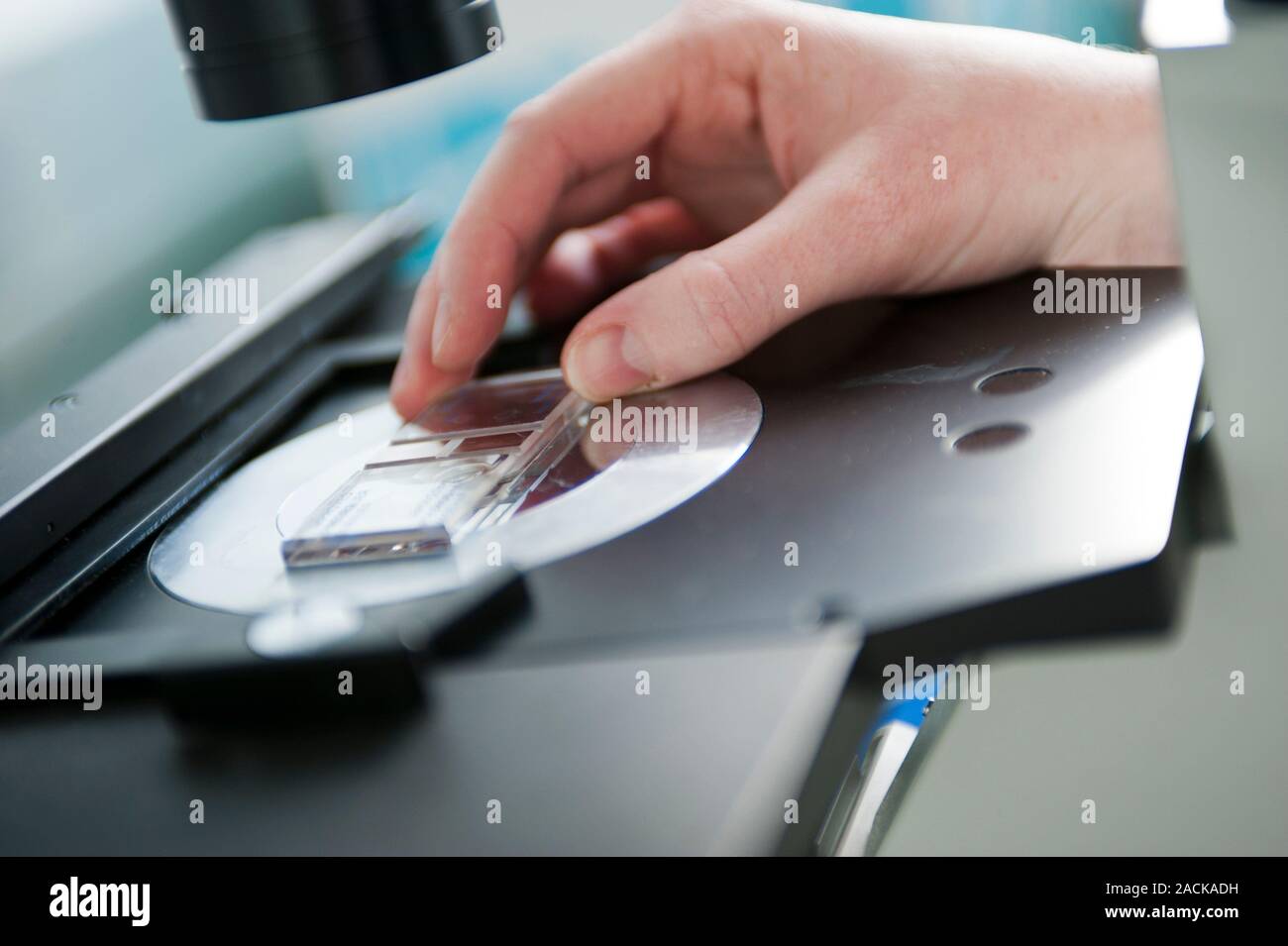 Scientist placing a glass slide under a microscope lens Stock Photo - Alamy