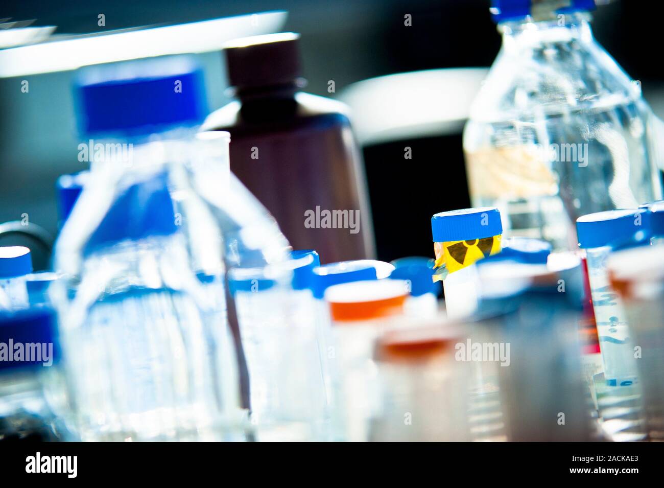 Assorted glassware with lids in a laboratory Stock Photo - Alamy