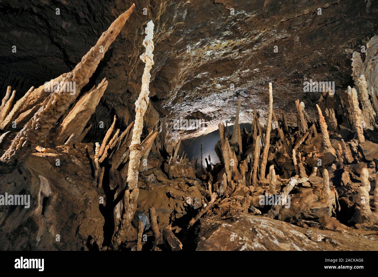 Cave formations. Limestone stalagmites leaning at various angles in a ...