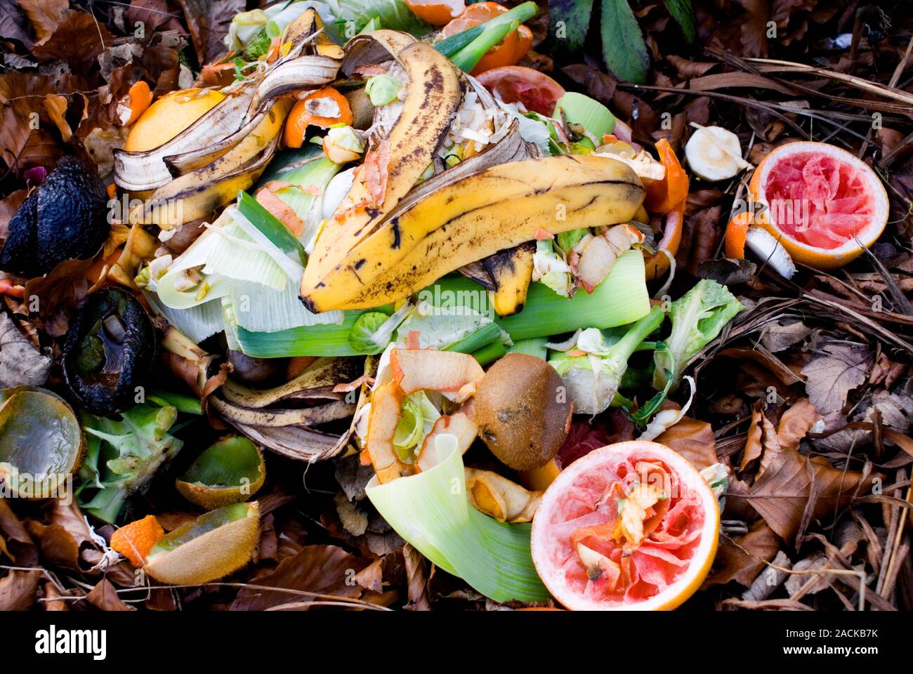 Food waste on compost heap in domestic garden Stock Photo - Alamy