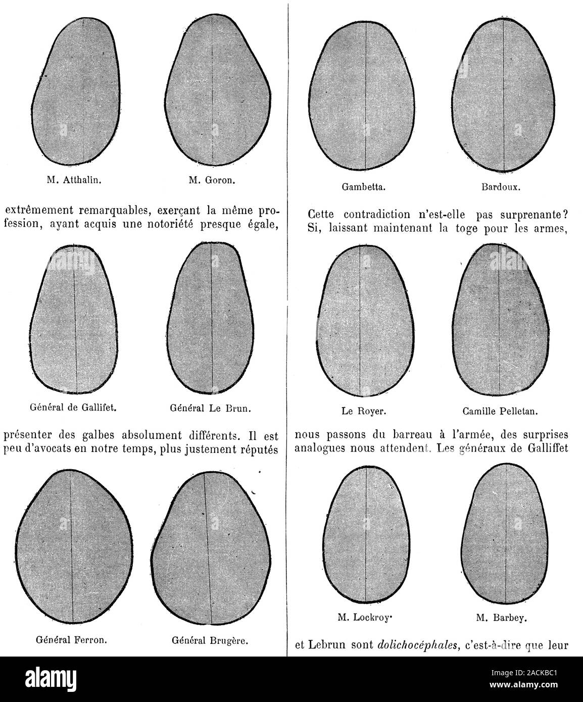 Head shape variation. Array of head shape drawings for named French ...