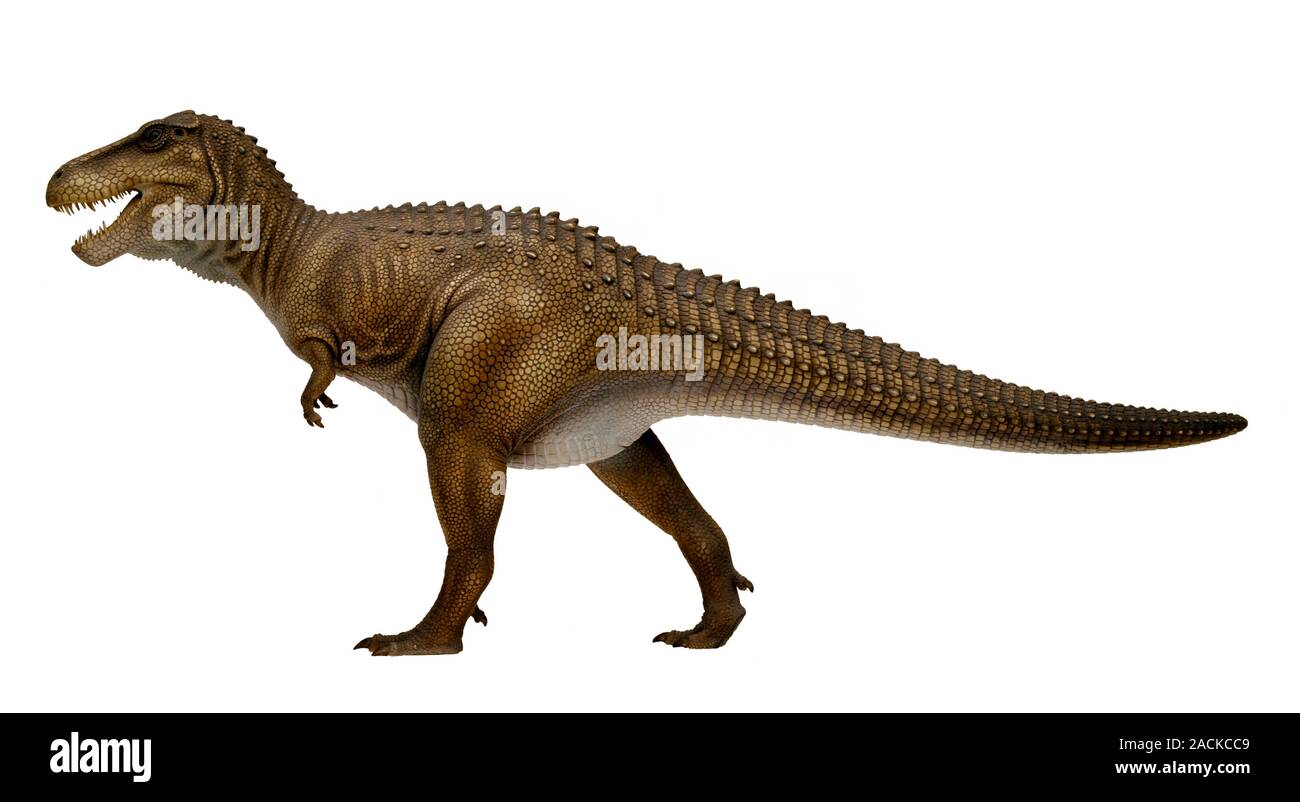 Tyrannosaurus rex model. Tyrannosaurus rex was a carnivorous dinosaur that lived during the ...