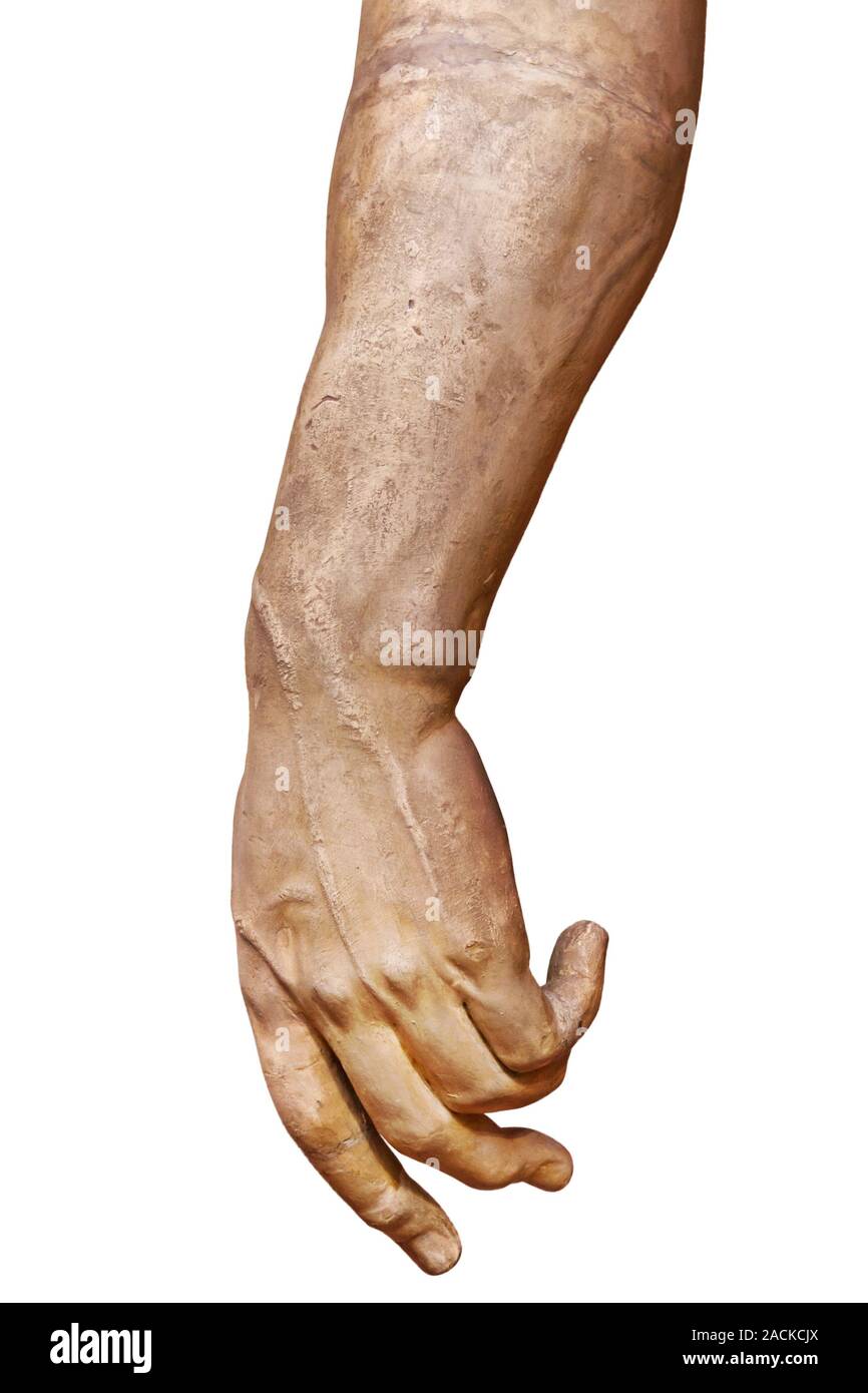 Stone statue detail of human hand isolated on white background by ...