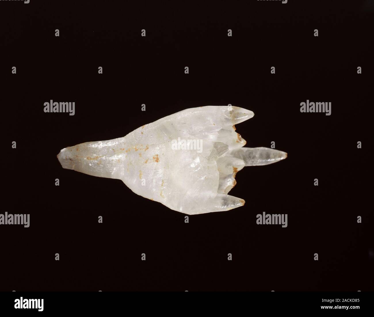 Calcite crystal specimen. This specimen displays a distorted hollow ...