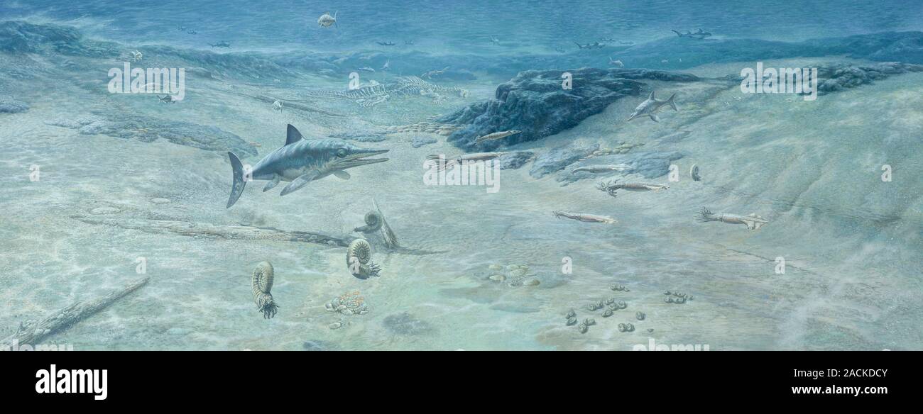 Jurassic marine fauna. Artwork showing an underwater scene in a shallow ...