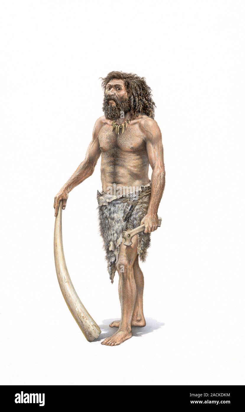 Cro-Magnon human (Homo sapiens). Cro-Magnon man is one of the best ...