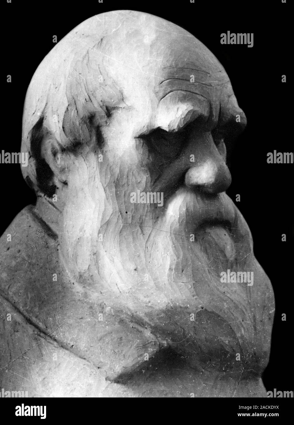 Charles Darwin as an old man, museum bust. Charles Robert Darwin (1809 ...