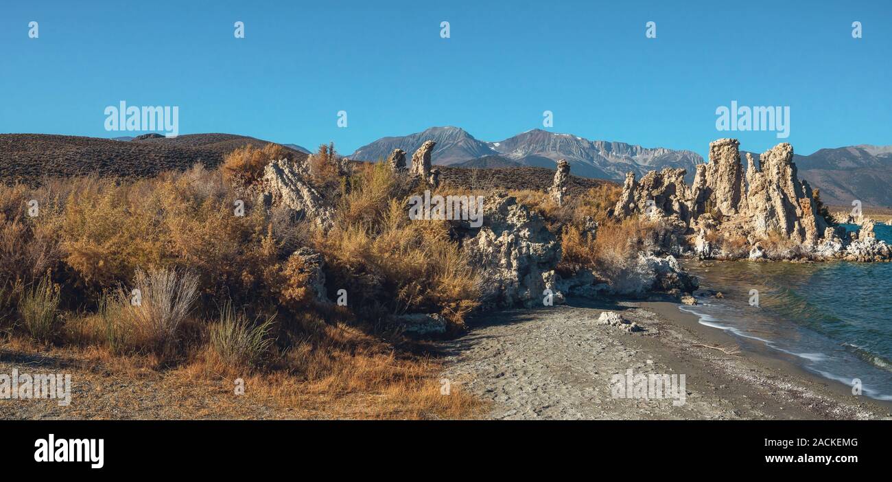 Mono fall colors hi-res stock photography and images - Alamy