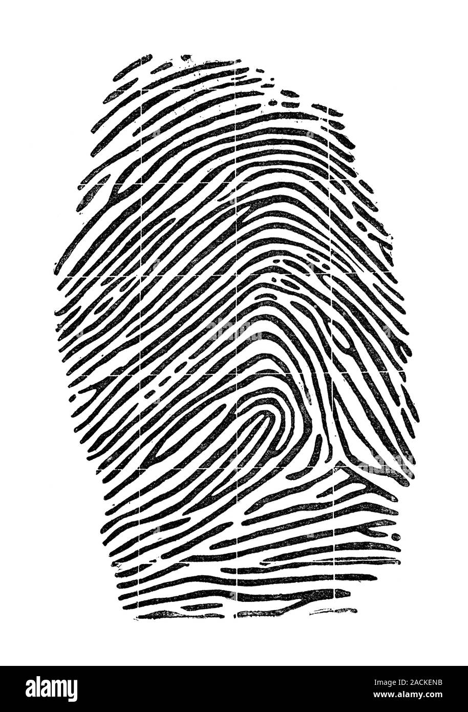Thumbprint forensics. Artwork from the tenth volume (second period of ...