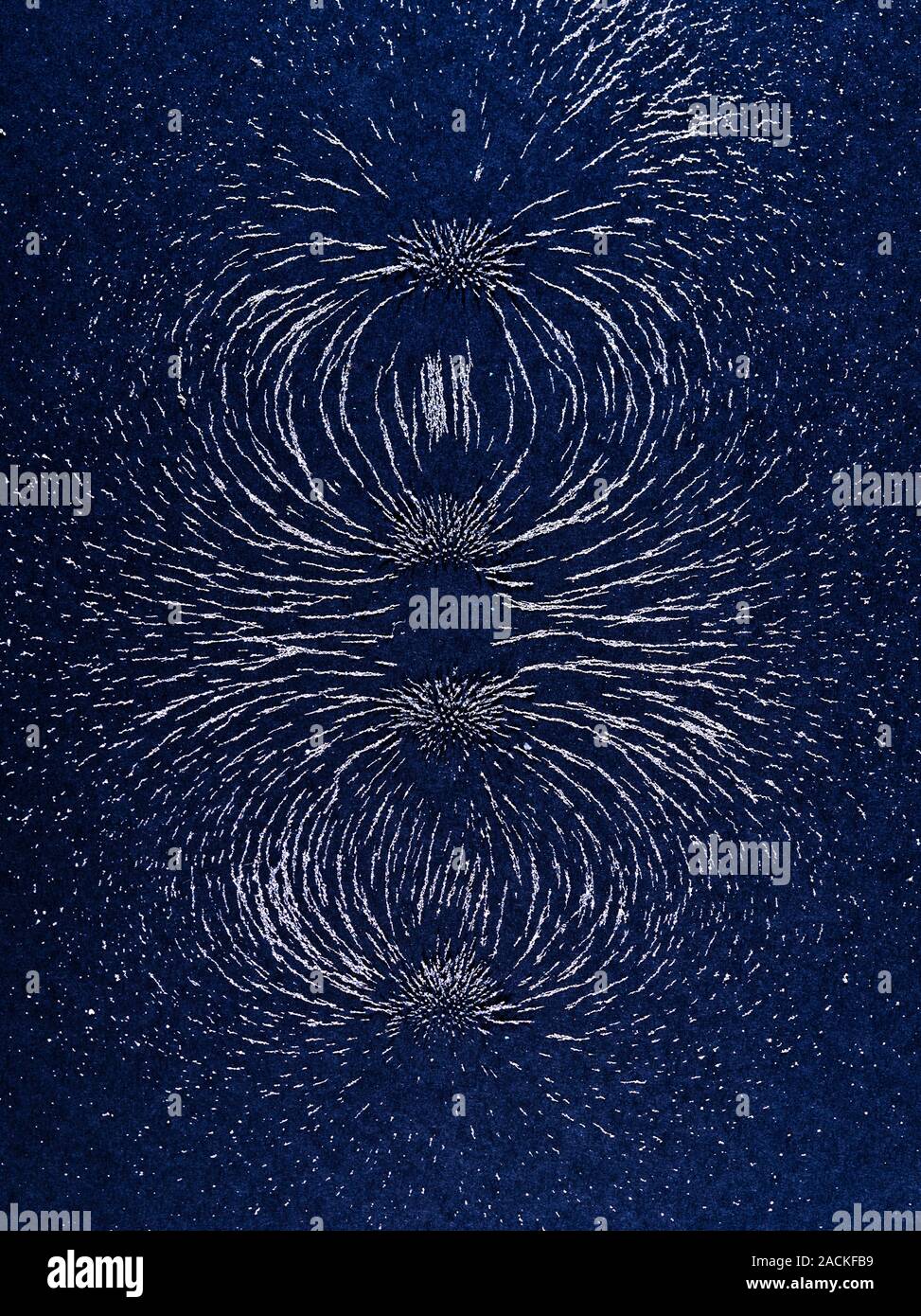 Magnetic repulsion. The iron filings sprinkled on a dark blue ...