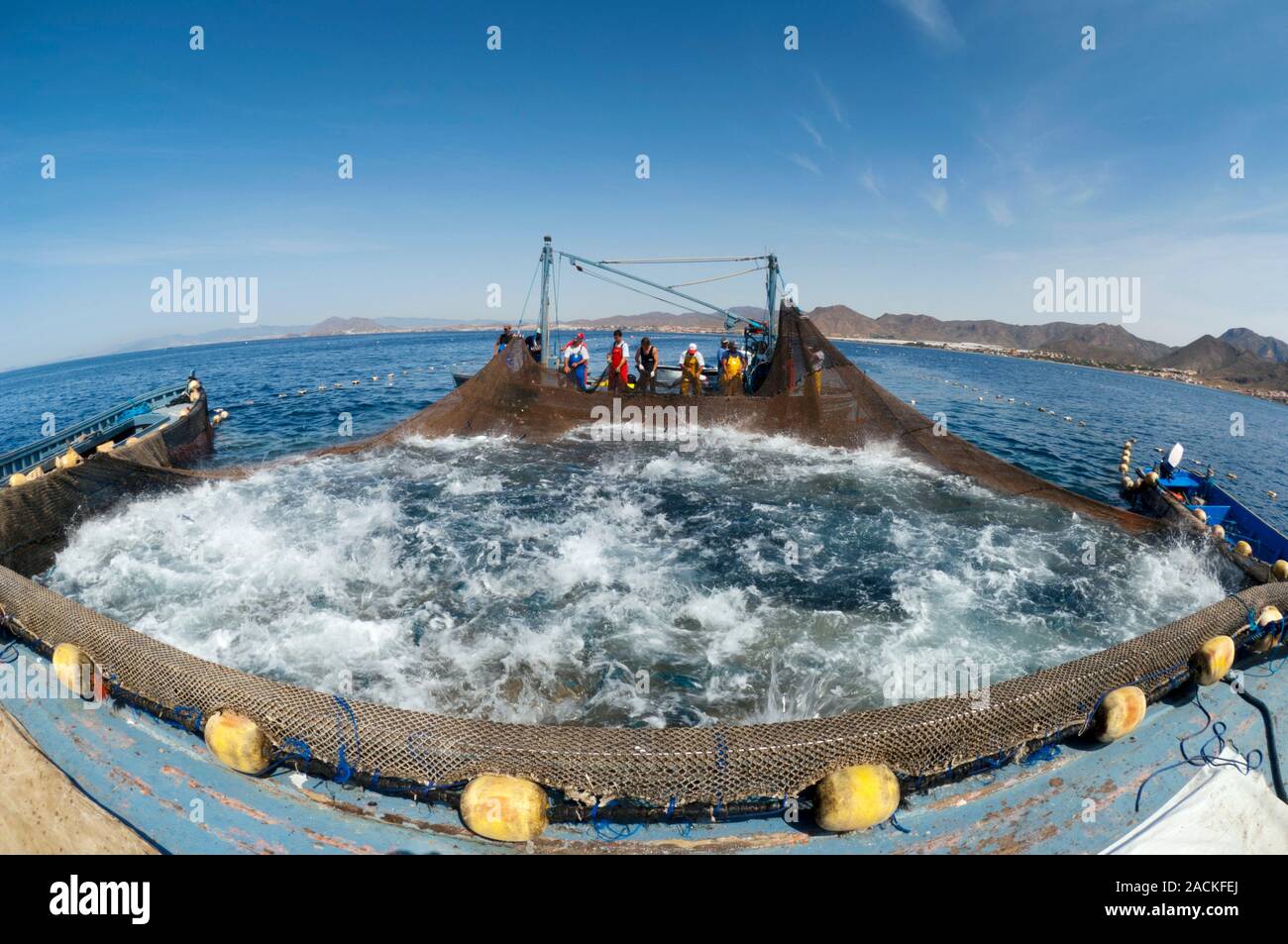 Almadraba fishing. Almadraba is an age-old Andalusian technique of ...