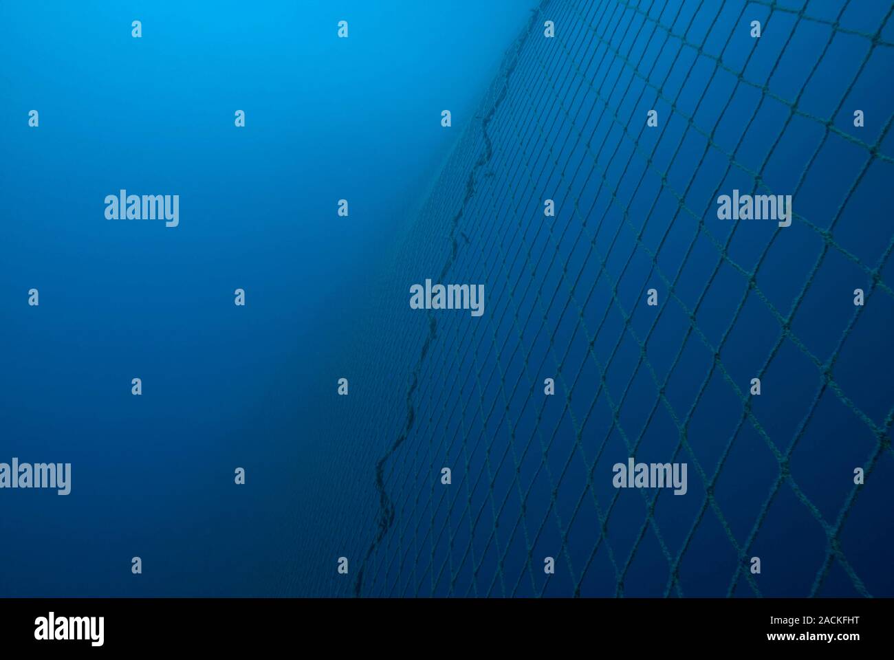 Fishing net underwater Stock Photo - Alamy