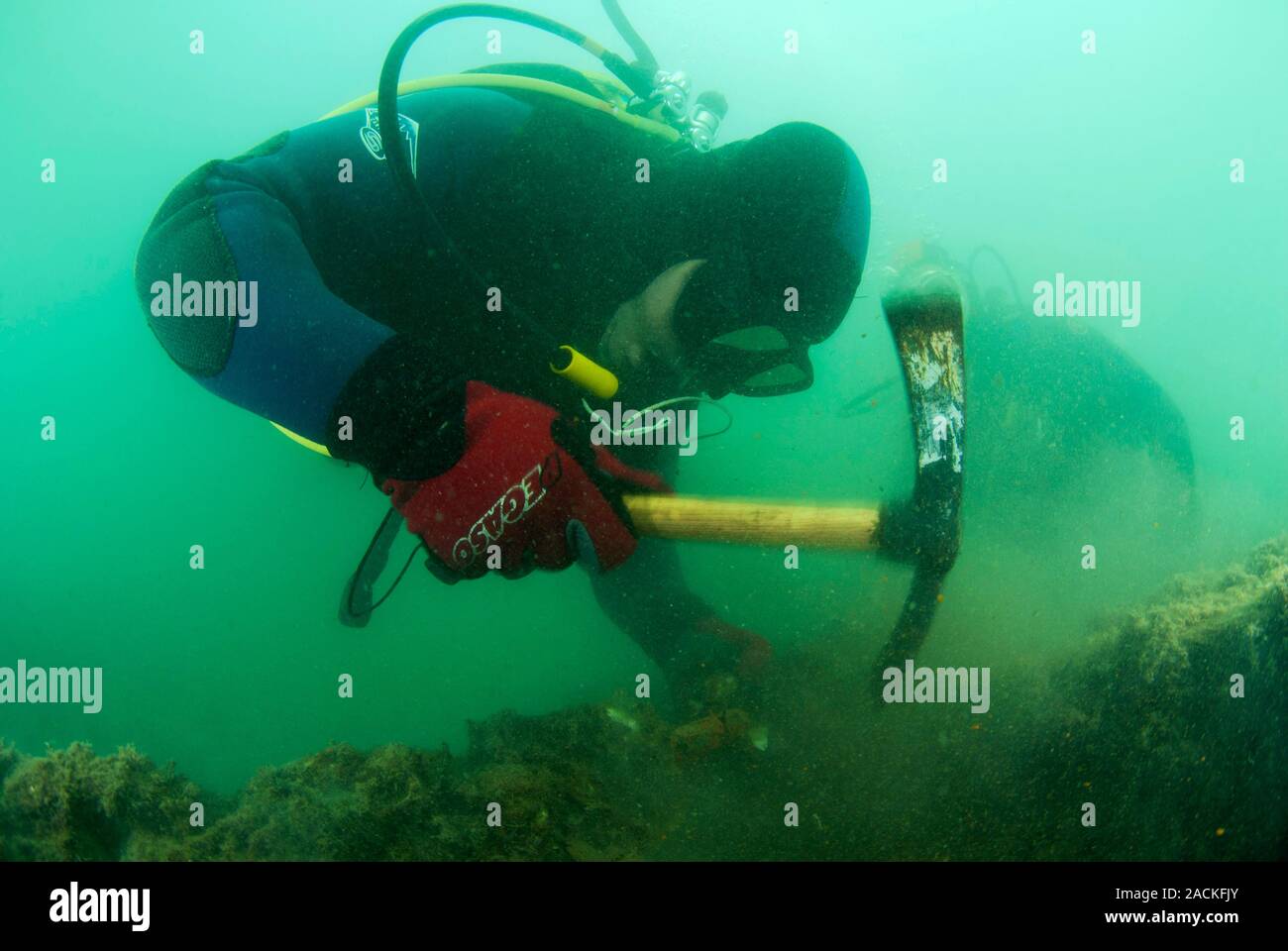 Professional SCUBA diver. Commercial diver working underwater ...