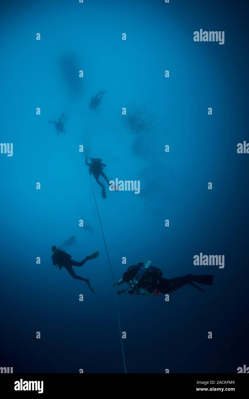 SCUBA diving. Divers decompressing on their way back to the surface ...