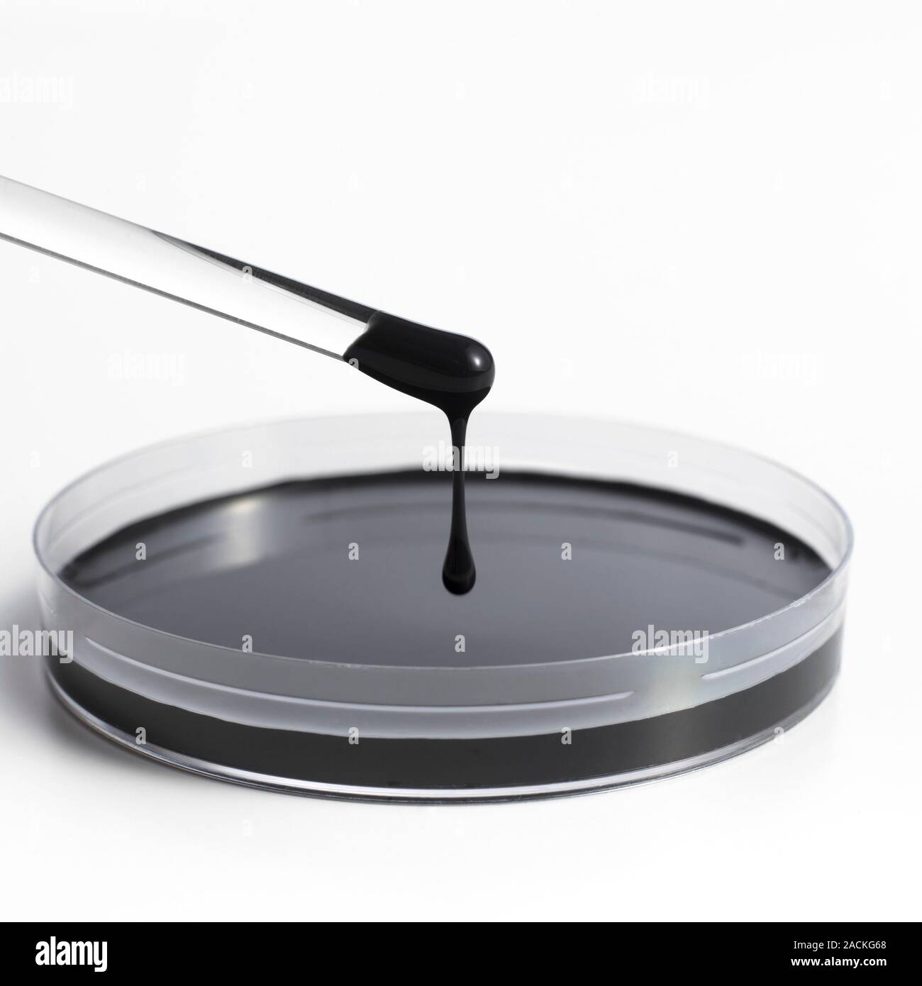 Crude oil dripping from a glass rod into a petri dish. This illustrates ...
