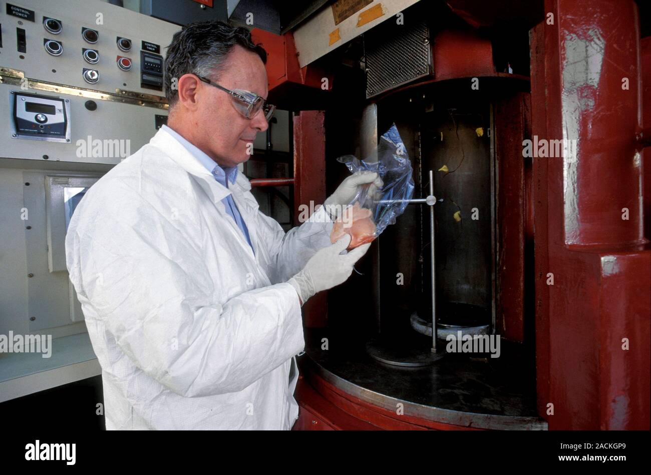 Food sterilisation research. Microbiologist preparing to expose plastic ...