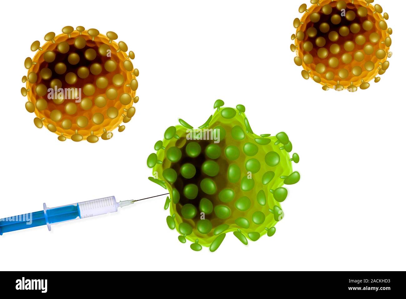 Conceptual artwork of a syringe injecting an infectious virus, to ...