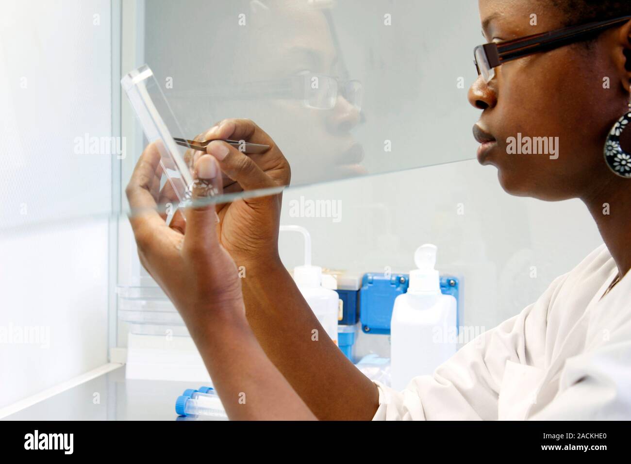 Female scientist wearing a white coat conducts research with cell ...